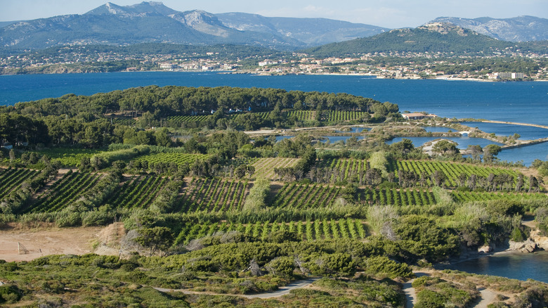La magnifique île idyllique sans voiture de France possède des criques ...